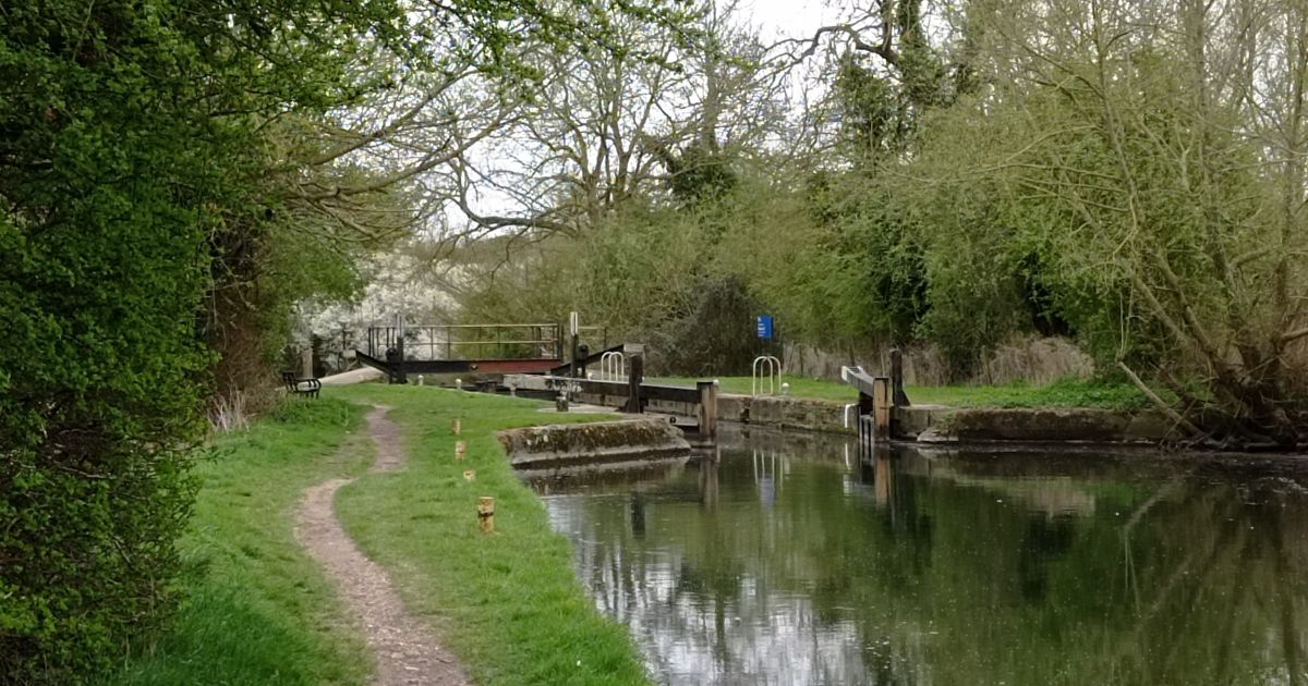Along The River Stort - Ramblers